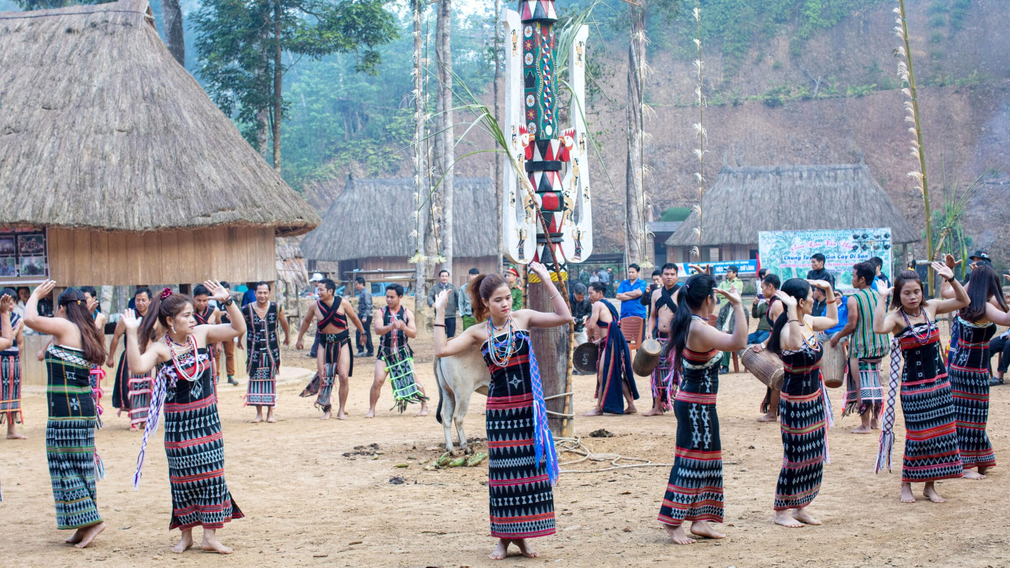 Co Tu ethnic group population in Vietnam - Updated from the General ...